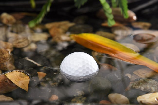 Collect Lost Golf Balls and Make Hundreds of Dollars Daily