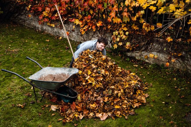 Leaf-Raking Business: A Simple, Low-Cost Side Hustle