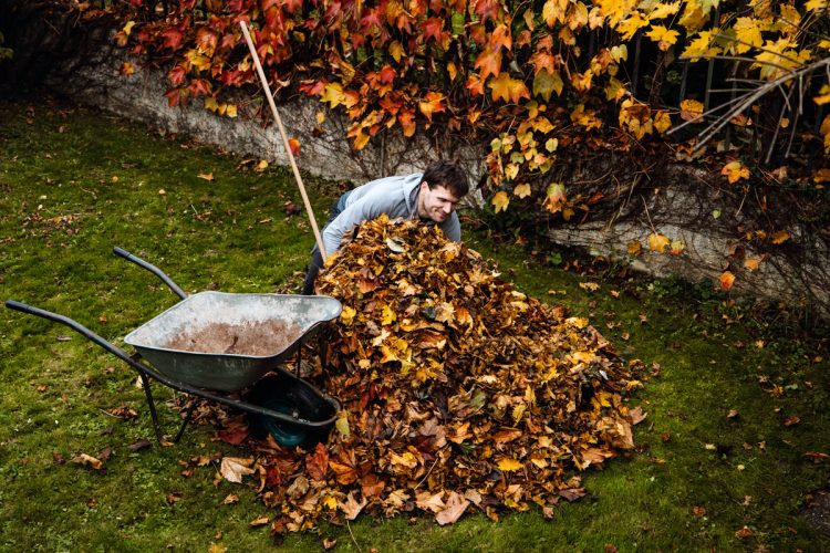 Leaf-Raking Business: A Simple, Low-Cost Side Hustle