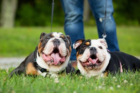 Looking for a Second Job? Here Are 10 Gigs to Consider