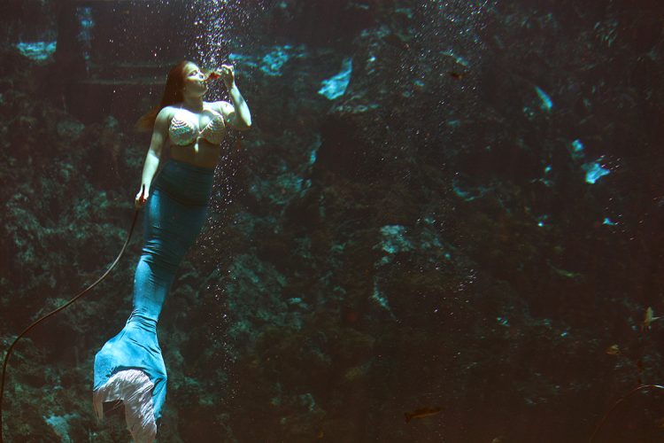 Ever Wonder How to Become a Mermaid? You Can With This Job