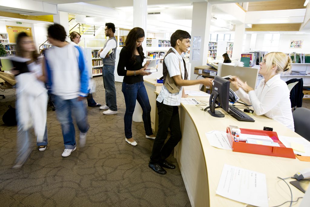 How to Become a Librarian: Turn Your Love of Books into a Career