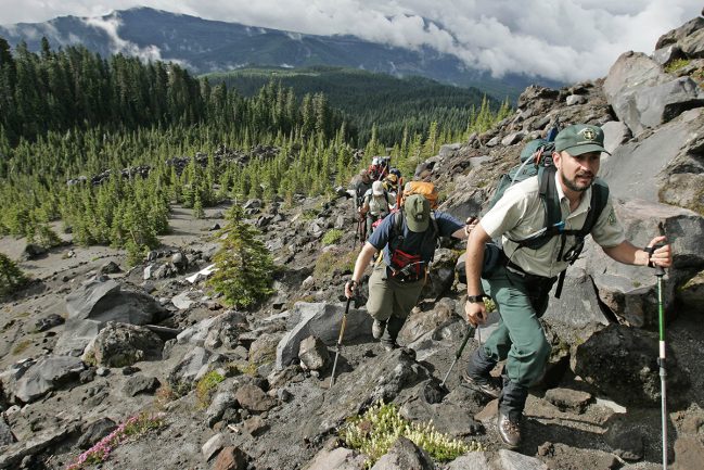 Enjoy the Fresh Air With One of These US Forest Service Jobs