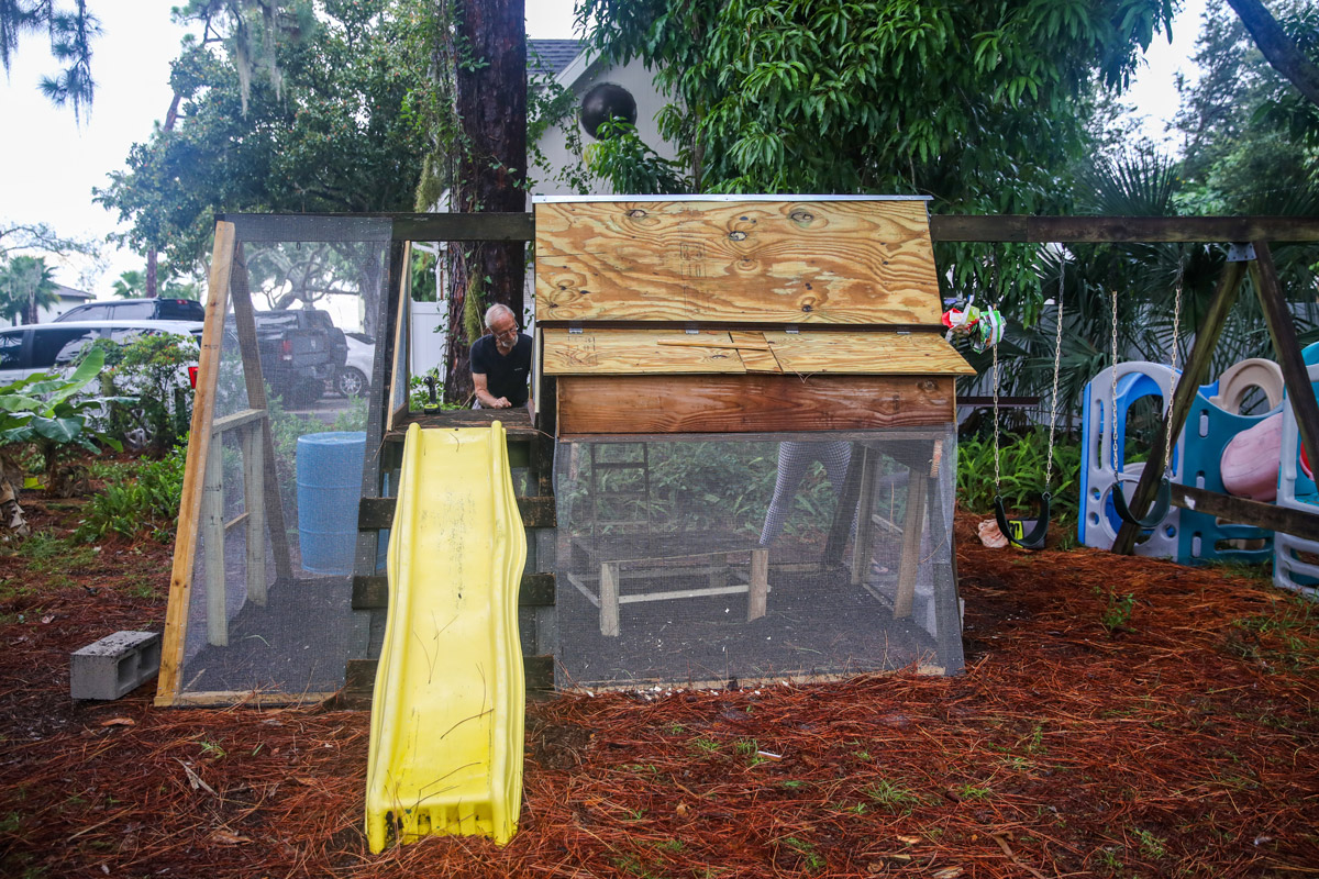 Here’s What It Costs to Raise Chickens in Your Backyard