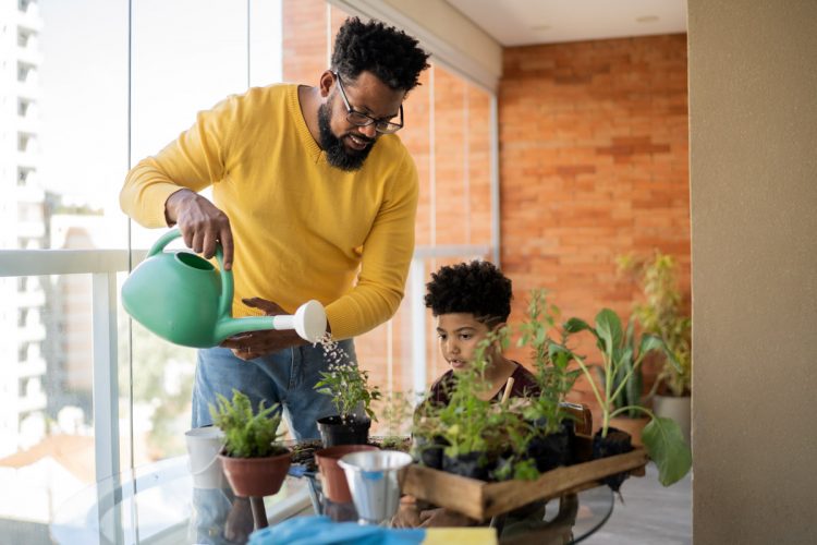 Looking for Cheap Plants? Here’s How to Be a Frugal Green Thumb