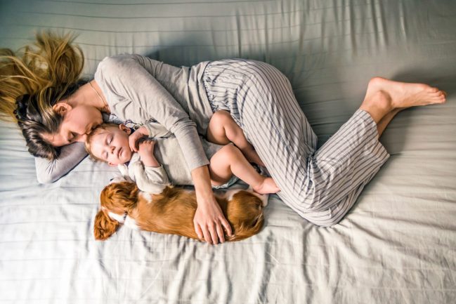 Ladder Life Review: Affordable & Flexible Term Life Insurance