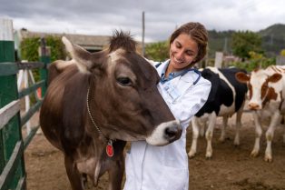 Interested in Working With Animals? Try These Jobs