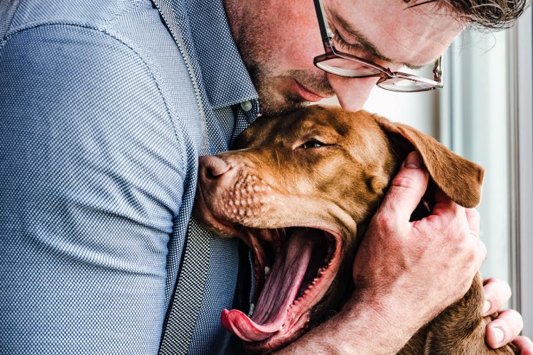 Homeowners Insurance and Dogs: What You Need to Know