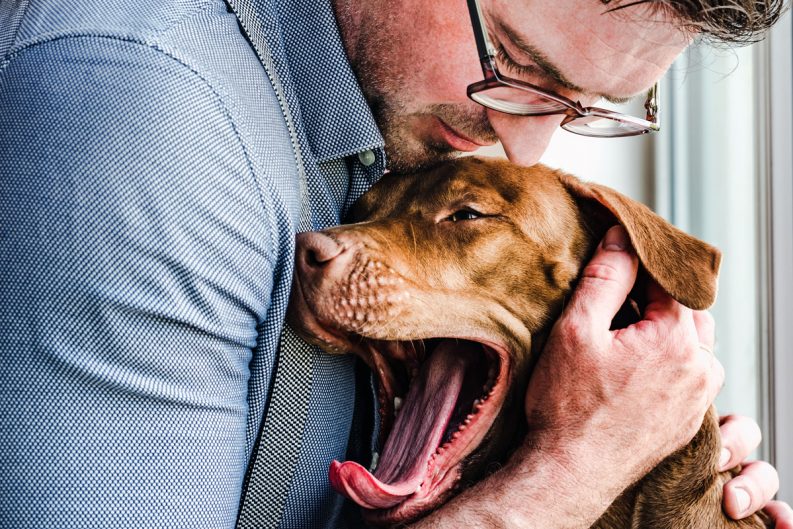 Homeowners Insurance and Dogs: What You Need to Know