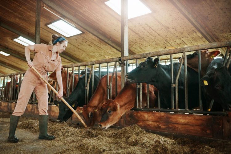 21 Ways to Get Paid to Exercise with Apps and Side Gigs