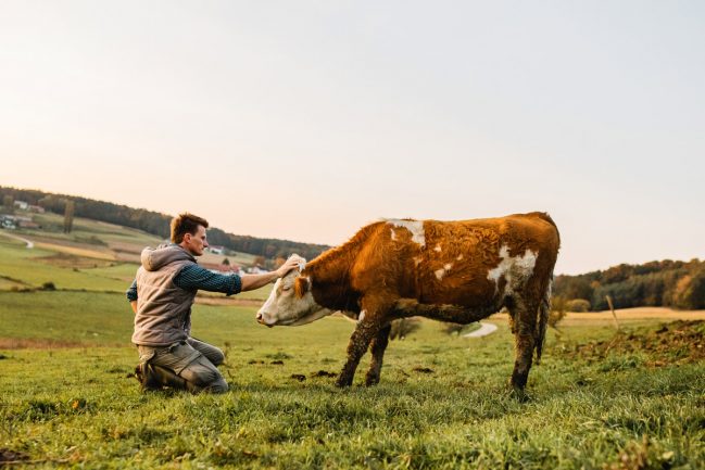 16 Jobs That Provide Free Housing — Talk About a Major Perk