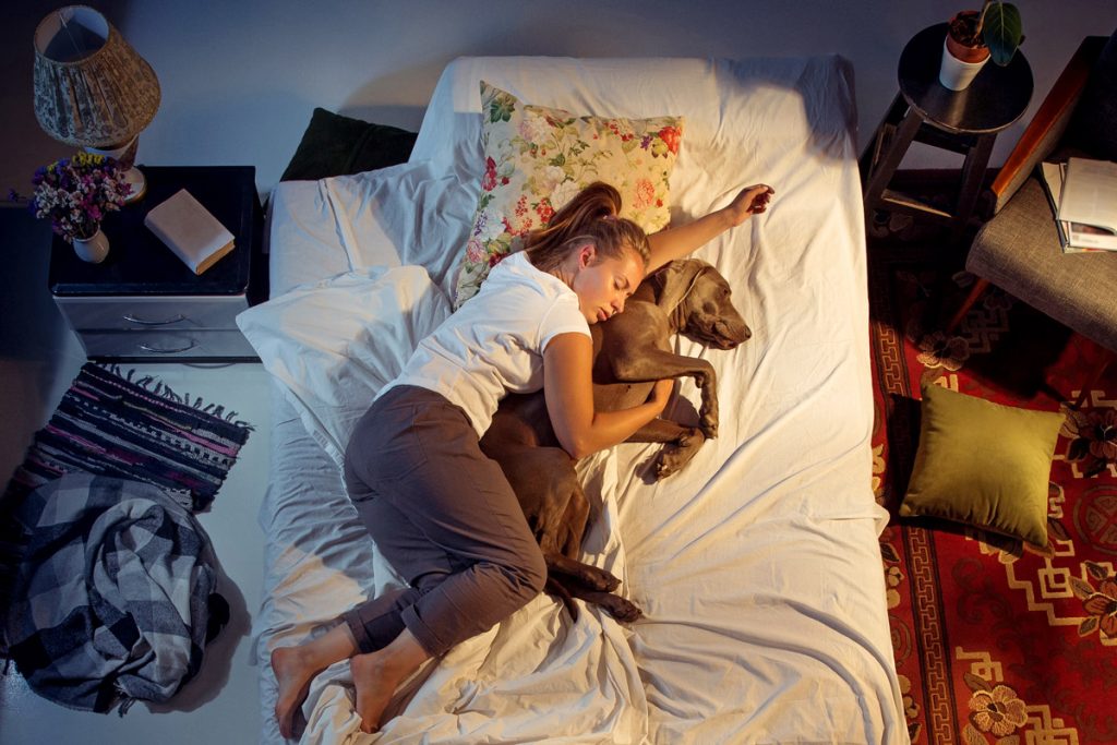 How to Find Housesitting Jobs (Even Paying Ones)