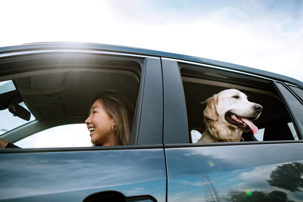 The Best Gas Rewards Credit Cards of 2026