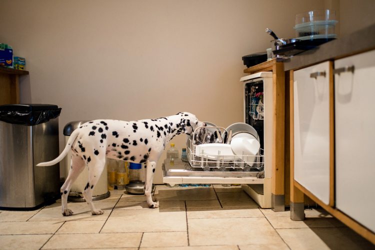 19 Super-Smart Tips on How to Save Money on Utilities