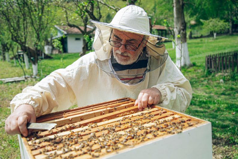 16 Things You Can Get Free or Cheap at an Extension Office