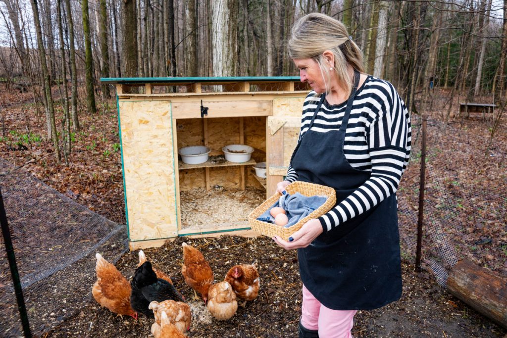 16 Things You Can Get Free or Cheap at an Extension Office