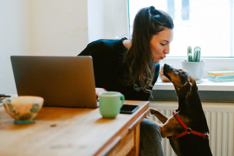 Find Remote Jobs at These 44 Work-From-Home Companies