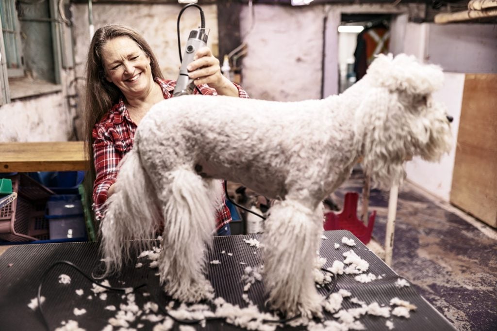 Best Business Checking Accounts of 2024