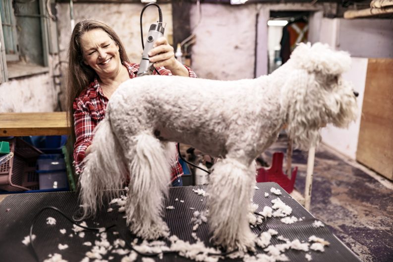 The 6 Best High-Interest Checking Accounts for February 2024