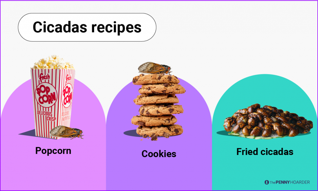 11 Cicadas Recipes To Help You Enjoy the Latest Brood