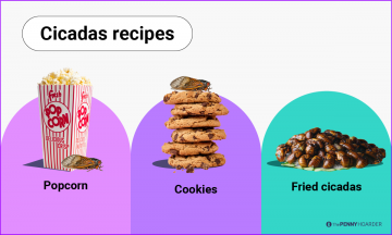 11 Cicadas Recipes To Help You Enjoy the Latest Brood